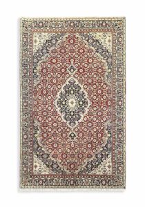 Hand Knotted Pure Wool Indian Rug | Bijan Rugs